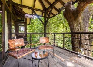 Pench Tree Lodge in Pench National Park, India